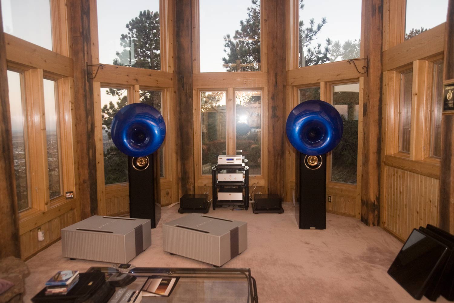 Houston, the ... EMM Labs MTRX amps... have landed - Audio Federation